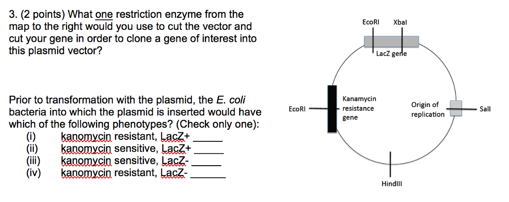 Solved 3. (2 points) What one restriction enzyme from the | Chegg.com
