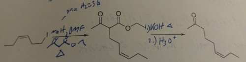 Solved Please show a COMPLETE reaction mechanism for the | Chegg.com