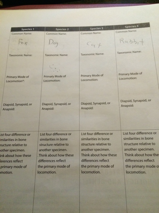 Solved Want this table to be completed | Chegg.com