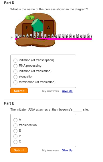 Solved What is the name of the process shown in the diagram? | Chegg.com