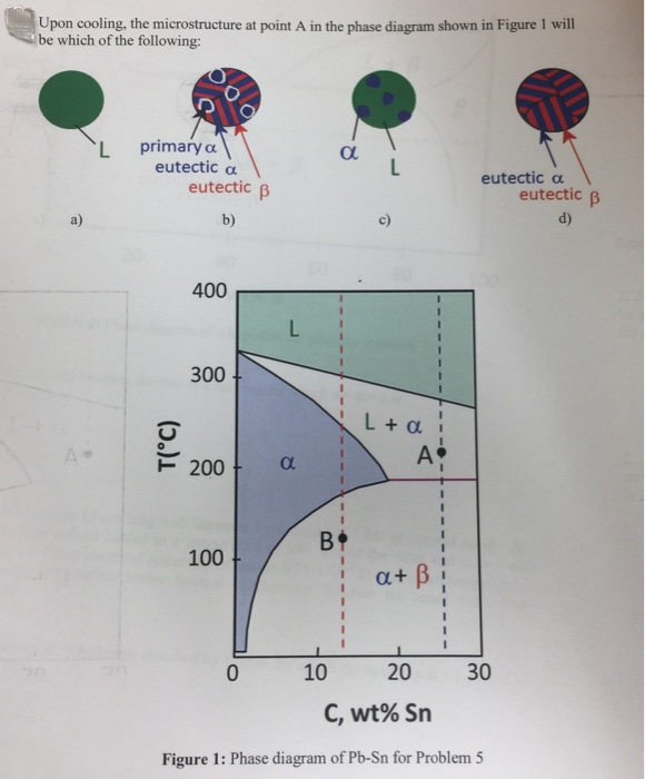 Solved Upon cooling, the microstructure at point A in the | Chegg.com