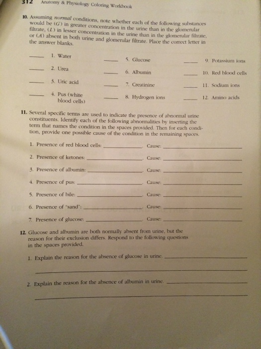 15+ Chapter 15 Urinary System - UrshiaIhtisham 15+ Chapter 15 Urinary System - UrshiaIhtisham