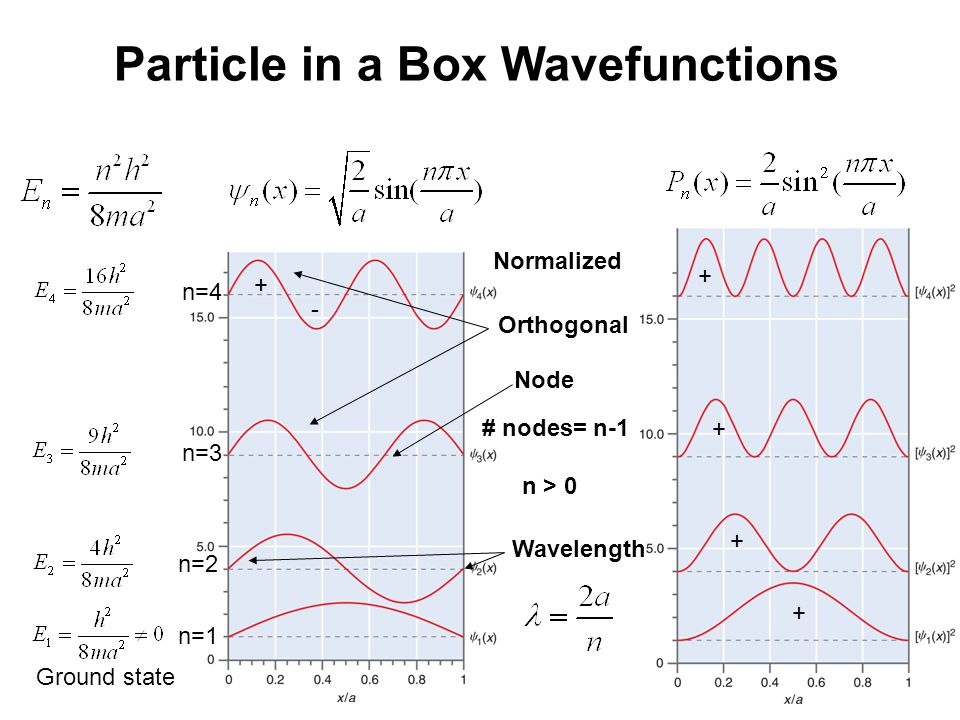 Solved A) Determine the root mean square displacement of the | Chegg.com