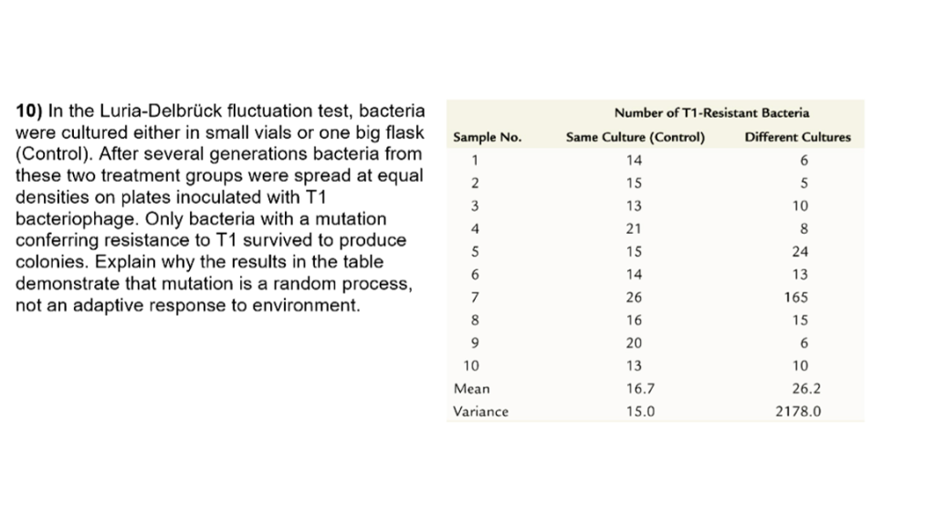 Solved 10) In the Luria-Delbrück fluctuation test, bacteria | Chegg.com