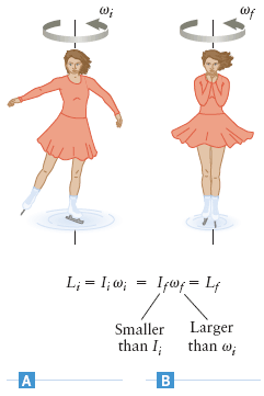 Solved Estimate the angular momentum of a figure skater of | Chegg.com
