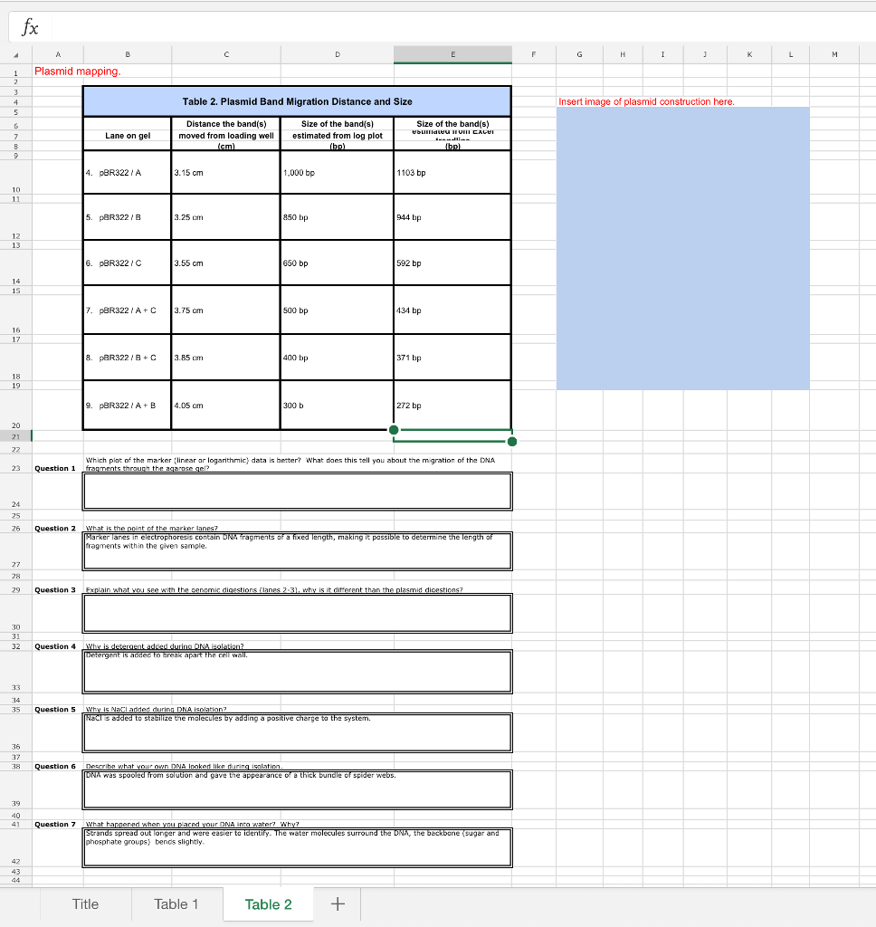 fx Plasmid mapping Insert image of plasmid | Chegg.com