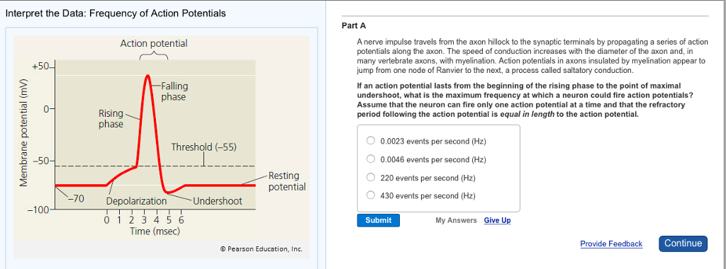 Solved: Interpret The Data: Frequency Of Action Potentials... | Chegg.com