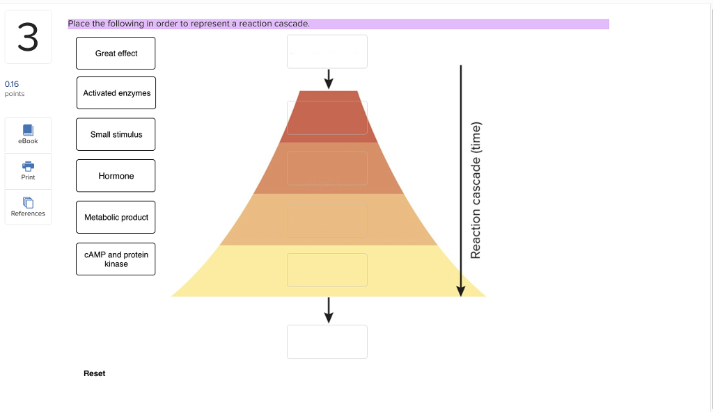 Solved Place the following in order to represent a reaction | Chegg.com