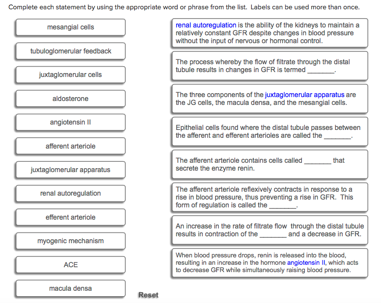Solved Complete Each Statement By Using The Appropriate Word 
