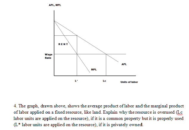 Solved The graph, drawn above, shows the average product of | Chegg.com