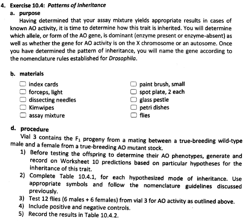 Exercise 10.4: Patterns of Inheritance a. purpose 4. | Chegg.com