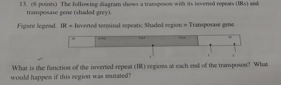Solved 13. (6 points) The following diagram shows a | Chegg.com