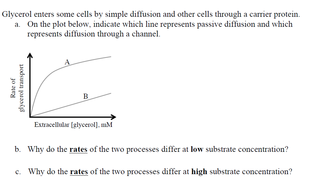 Solved Glycerol enters some cells by simple diffusion and | Chegg.com