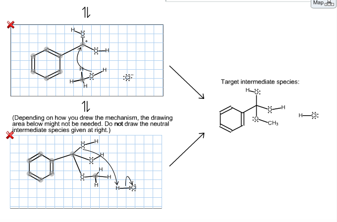 Solved The Fischer esterification mechanism is examined in | Chegg.com