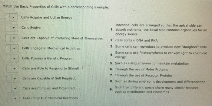Solved Match the Basic Properties of Cells with a | Chegg.com