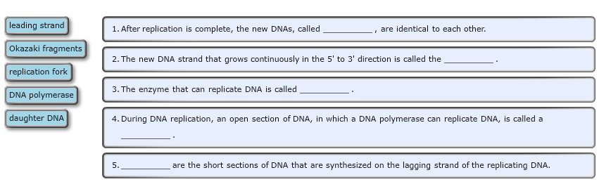 Solved: Complete The Following Vocabulary Exercise Related... | Chegg.com
