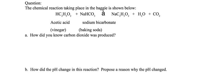 Solved The chemical reaction taking place in the baggie is | Chegg.com