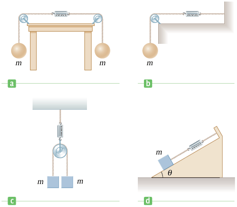 Solved The systems shown below are in equilibrium (with m = | Chegg.com