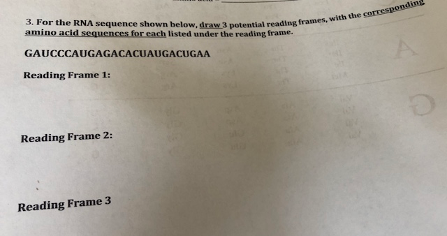 Solved 3. For the RNA sequence shown below, draw 3 potential | Chegg.com