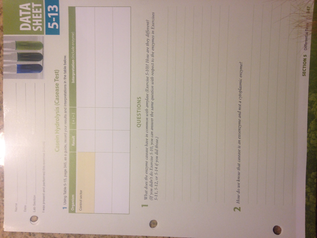 Solved DATA SHEET 6-2 Name Lab Section Standard Plate Count | Chegg.com