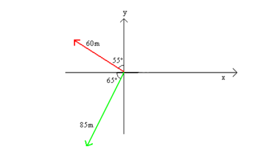 Solved The red vector has a magnitude of 60 m and is at a 55 | Chegg.com