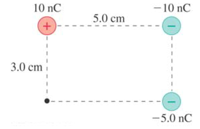 Solved What are the strength and direction of the net | Chegg.com