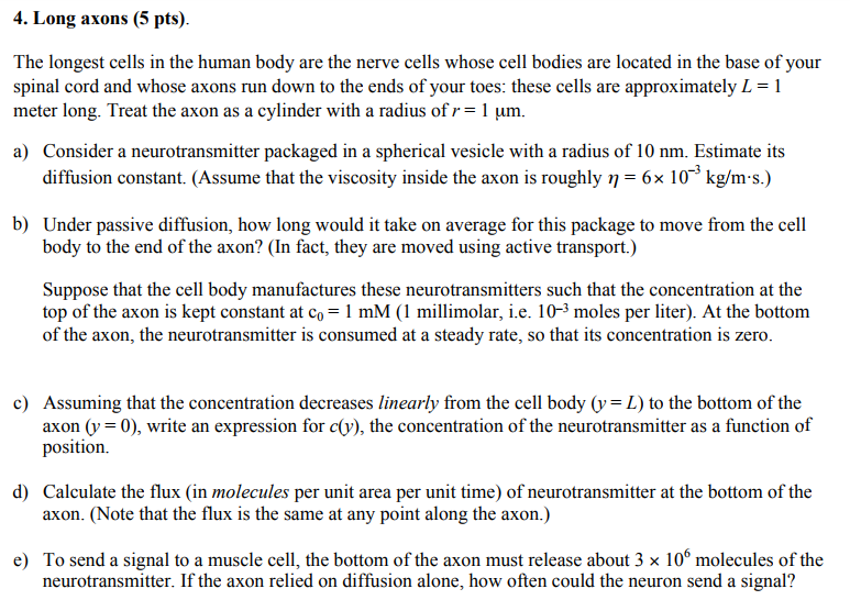 Solved 4. Long axons (5 pts) The longest cells in the human | Chegg.com