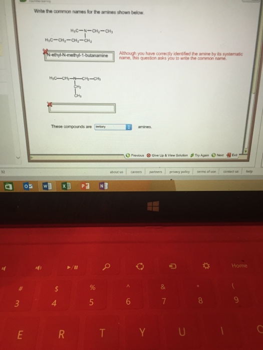 Solved Write the common names for the amines shown below. | Chegg.com