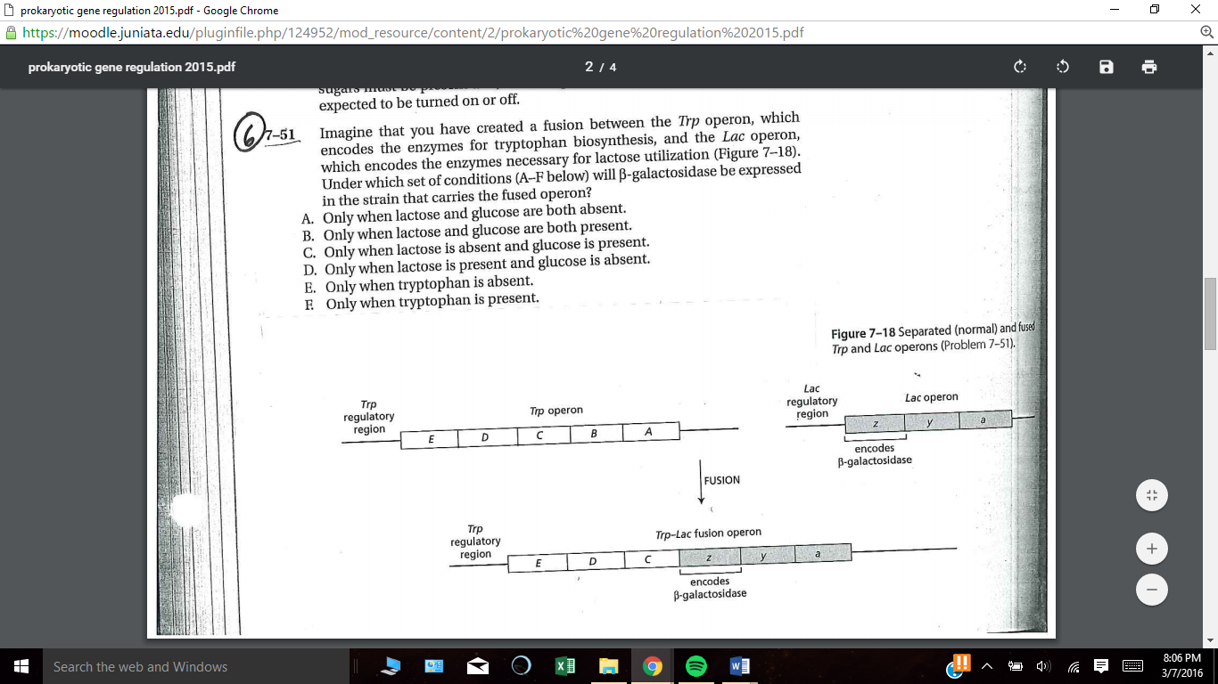 Solved Imagine that you have created a fusion between the | Chegg.com