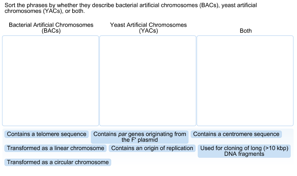 Solved Sort the phrases by whether they describe bacterial | Chegg.com
