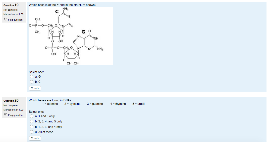 Solved A primary transcript RNA may contain segments that | Chegg.com
