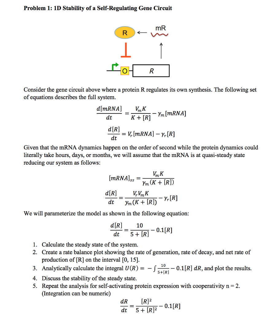 Problem 1: 1D Stability of a Self-Regulating Gene | Chegg.com