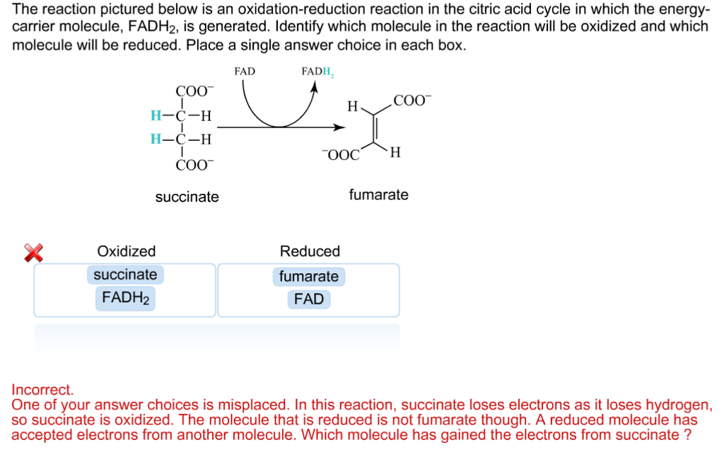 Solved The reaction pictured below is an oxidation-reduction | Chegg.com