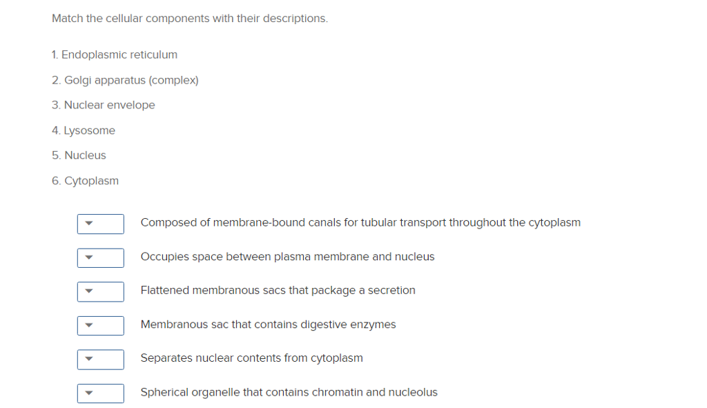 Solved Match the cellular components with their | Chegg.com