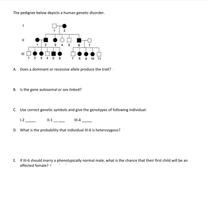Solved The pedigree below depicts a human genetic disorder. | Chegg.com