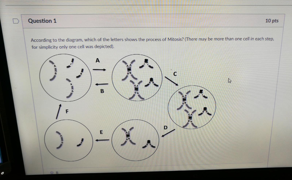 Solved DQuestion 1 10 pts According to the diagram, which of | Chegg.com Solved DQuestion 1 10 pts According to the diagram, which of | Chegg.com
