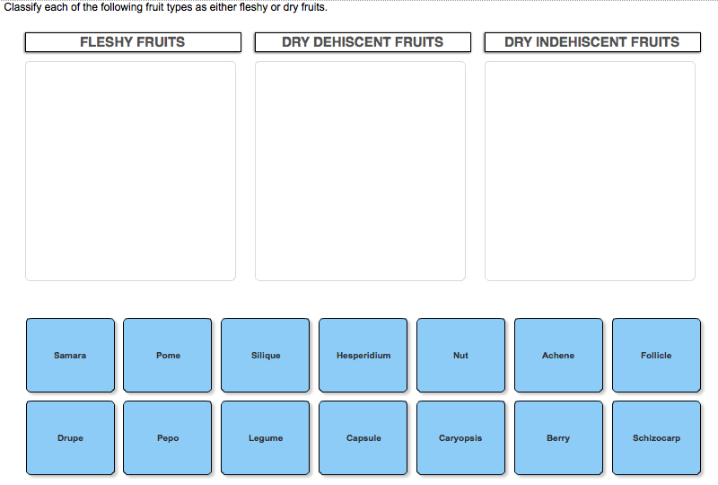 Solved Classify each of the following fruit types as either | Chegg.com