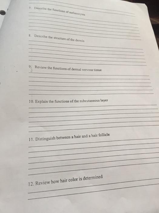 Solved 1. Define Integumentary system 2. List six functions | Chegg.com
