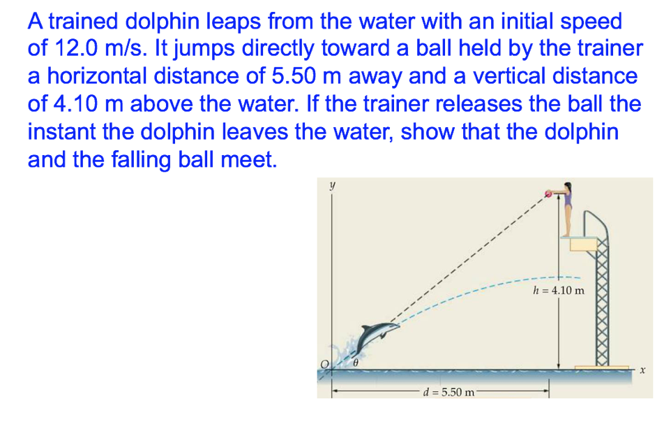Solved A trained dolphin leaps from the water with an | Chegg.com