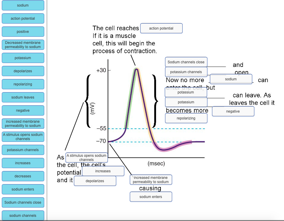Solved Part B - Nerve Problems The nurse taking Mr. M's | Chegg.com Solved Part B - Nerve Problems The nurse taking Mr. M's | Chegg.com