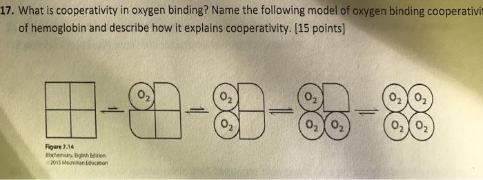 Solved What is cooperativity in oxygen binding? Name the | Chegg.com