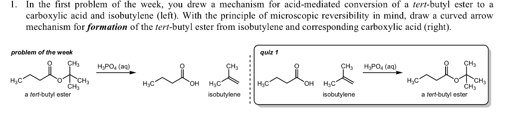 Solved 1. In the first problem of the week, you drew a | Chegg.com