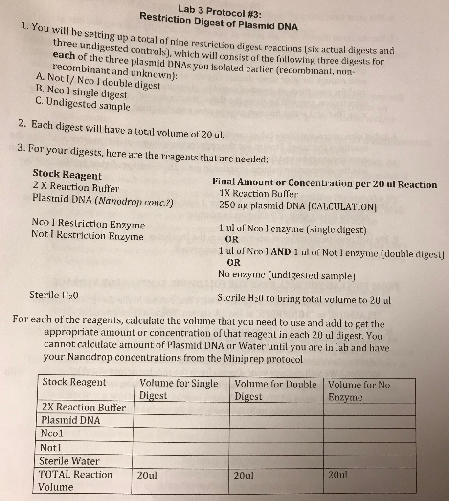 Solved Lab 3 Protocol 3 Restriction Digest Of Plasmid Dna