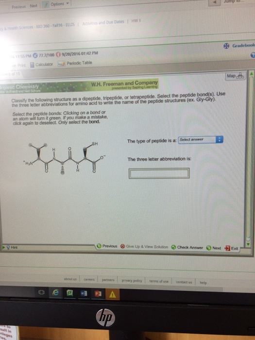 Solved Classify the following structure as a dipeptide, | Chegg.com