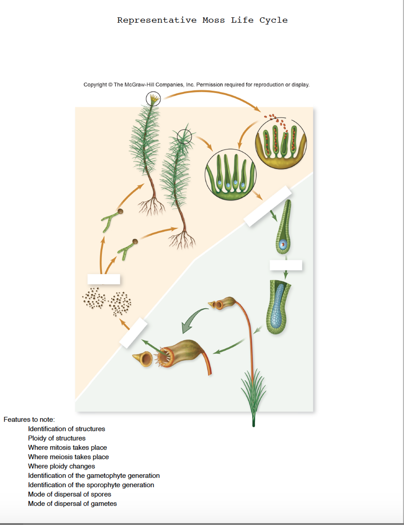 Biology Archive | November 02, 2016 | Chegg.com