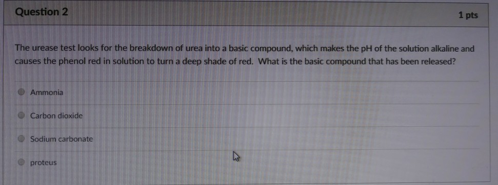 Solved Question2 1 pts The urease test looks for the | Chegg.com