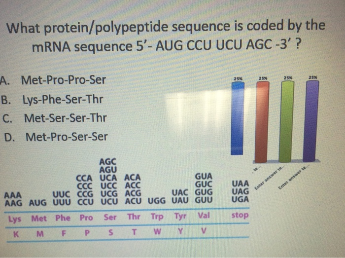 Solved What protein/polypeptide sequence is coded by the | Chegg.com