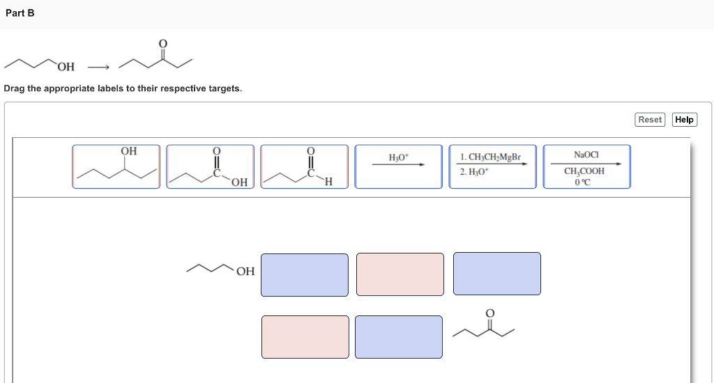 Solved Part B Drag the appropriate labels to their | Chegg.com