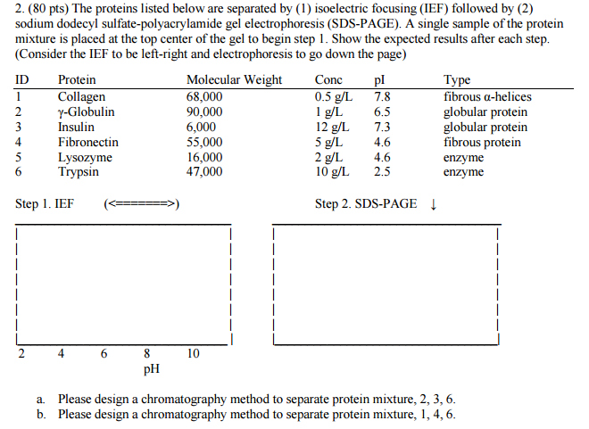 The proteins listed below are separated by (1) | Chegg.com