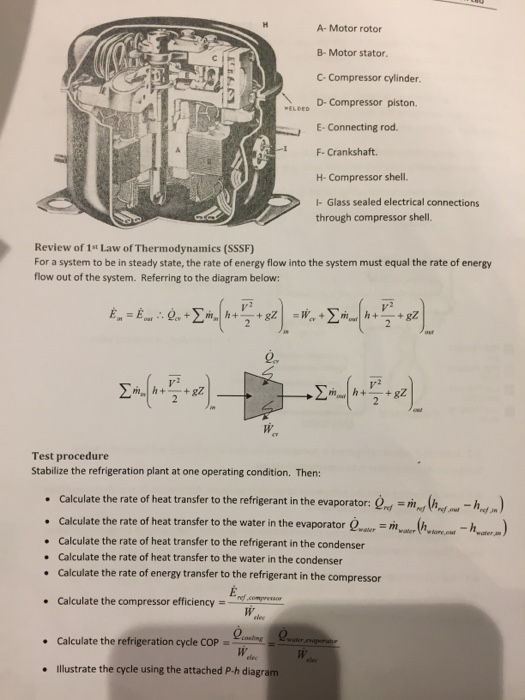 Solved Can you please answer the following in details | Chegg.com Solved Can you please answer the following in details | Chegg.com
